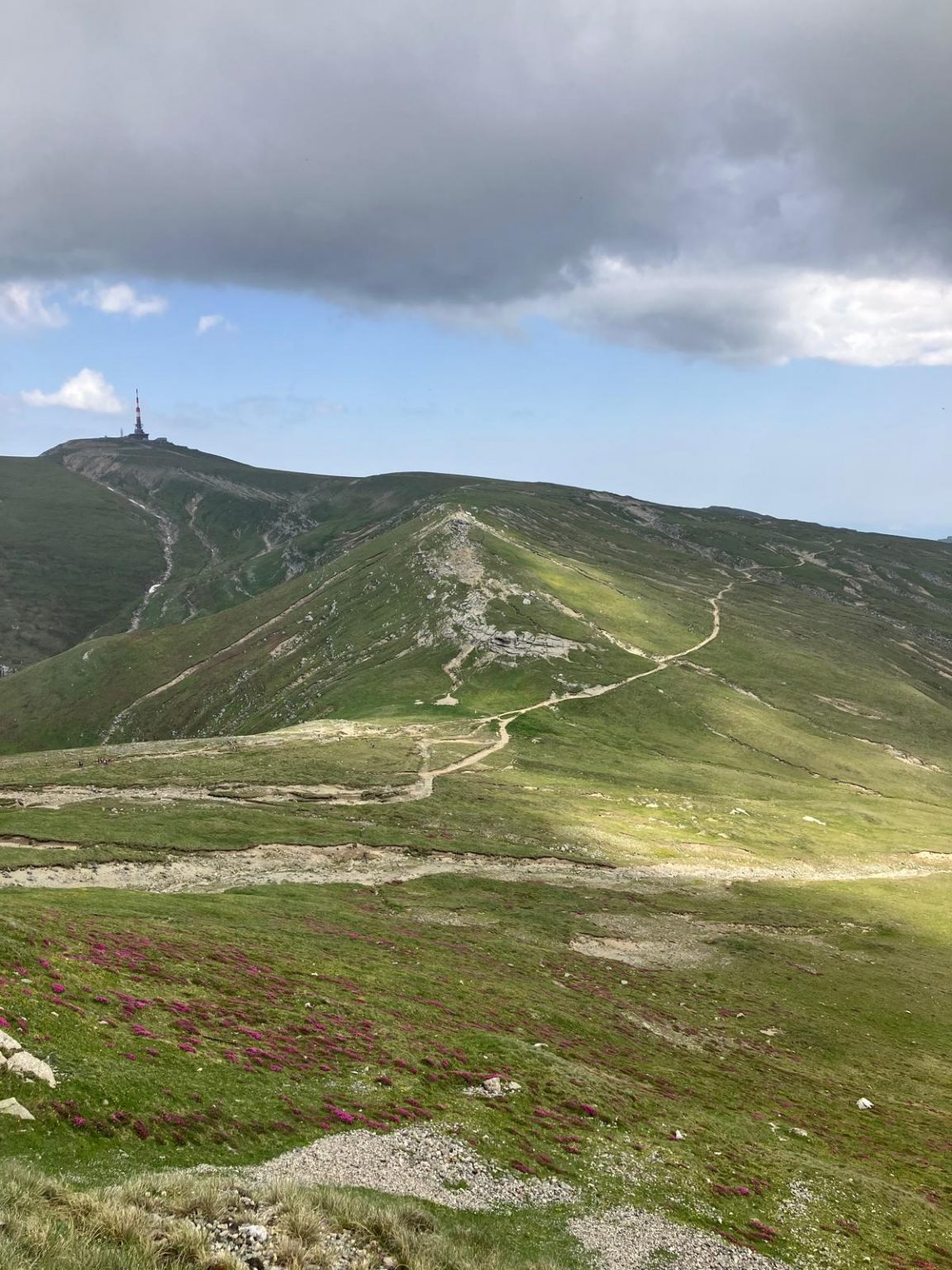 Traseu Vârful Omu prin Valea Obarsiei (retur Sfinx si Babele)